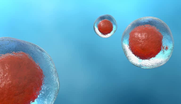 Stem Cell Explained: Types, Sources, and Ethic | Stemwell